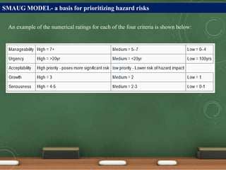 Disaster vulnerability, risk and capacity | PPTX