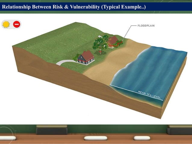 Disaster vulnerability, risk and capacity | PPTX