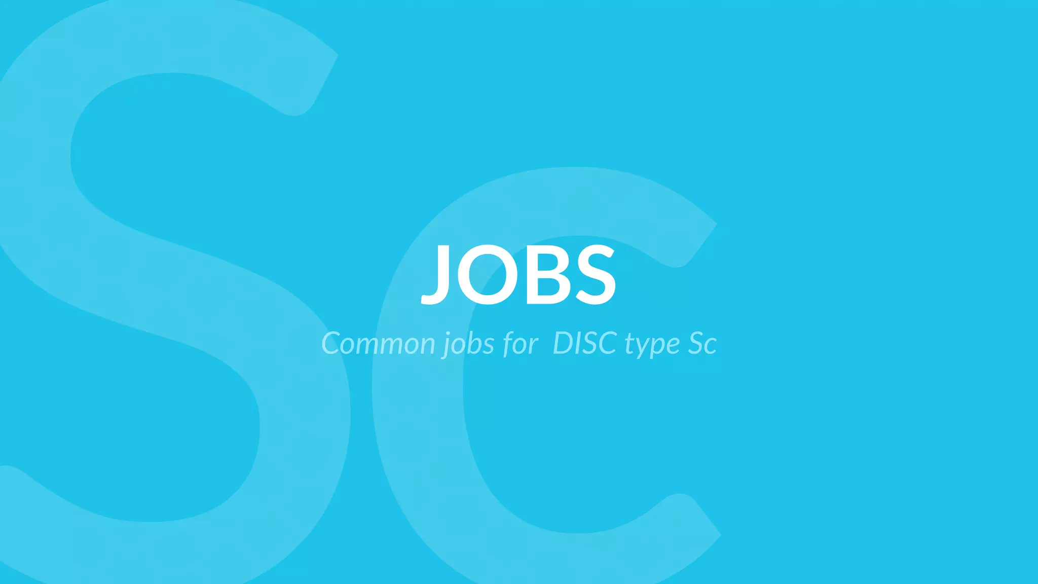 DISC Sc- The Planner | PDF