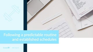 DISC SC - The Stabilizer | PPT