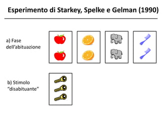 Discalculia evolutiva v | PDF