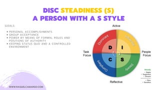 Behavioral Styles For Digital Marketing (Disc) - Astrolabs - By Raquel ...