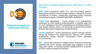 DISC D3 | PDF