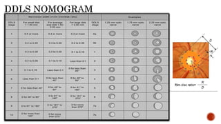 Disc Damage Likelihod Scale (DDLS) | PPTX
