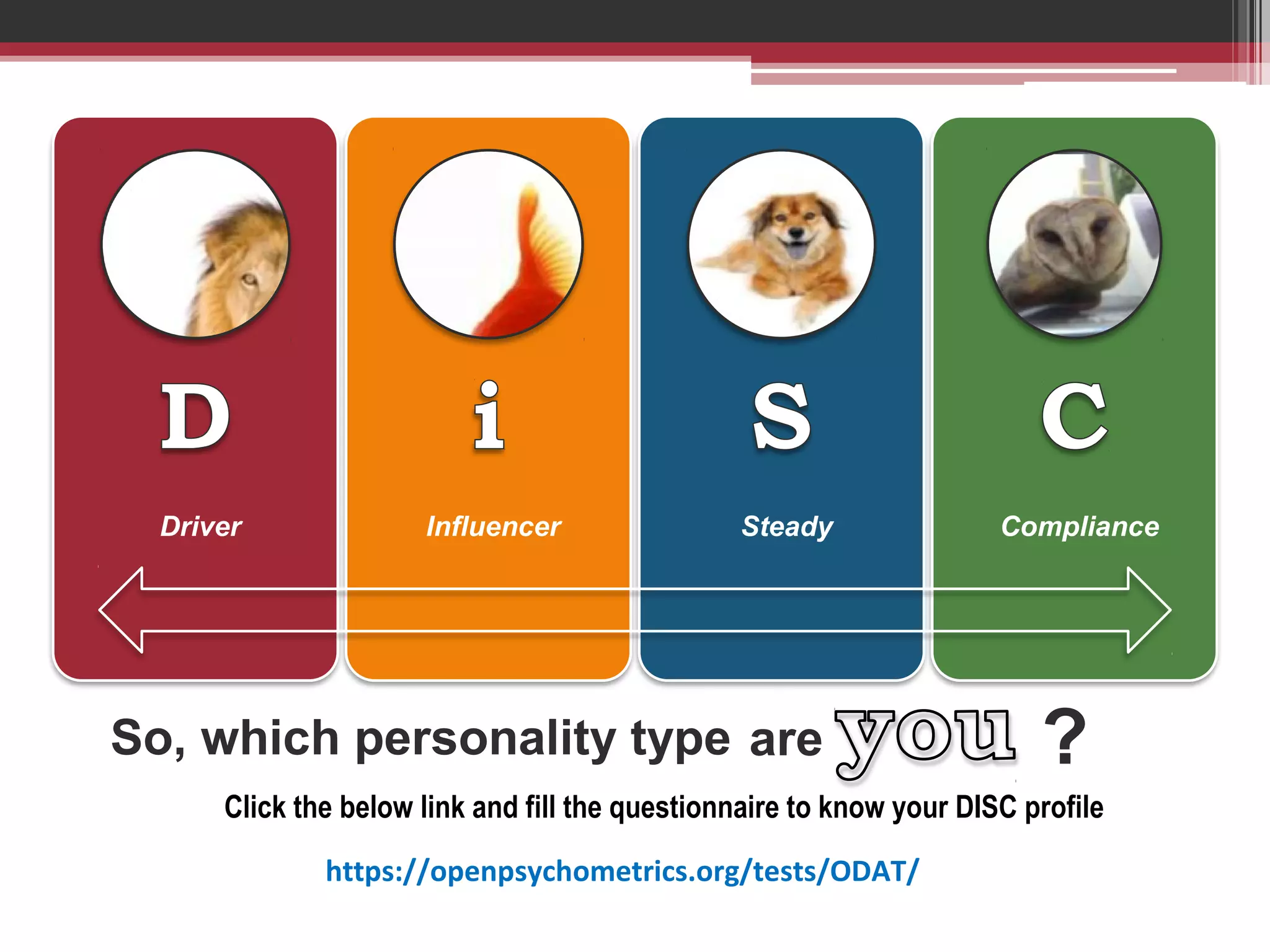 Disc Model of Personality | PPS