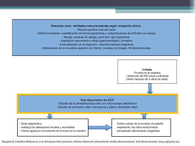 Discinesia ciliar primaria | PPT