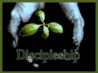 Discipleship+Study+2.pptx