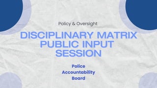 Disciplinary Matrix Public Input Session.pdf