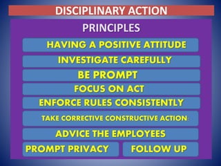 Discipline | PPT