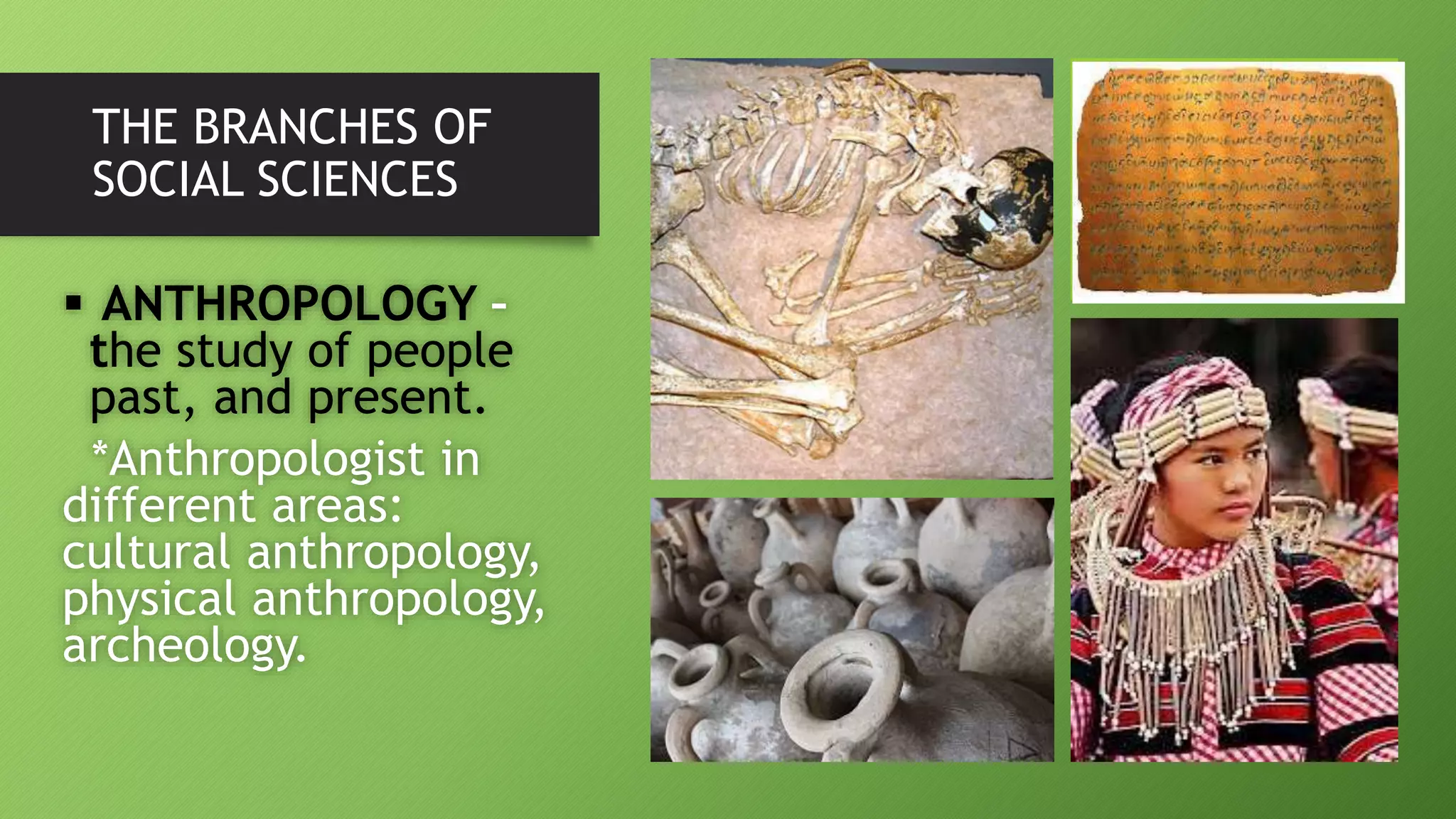 BRANCHES OF SOCIAL SCIENCE | PPTX