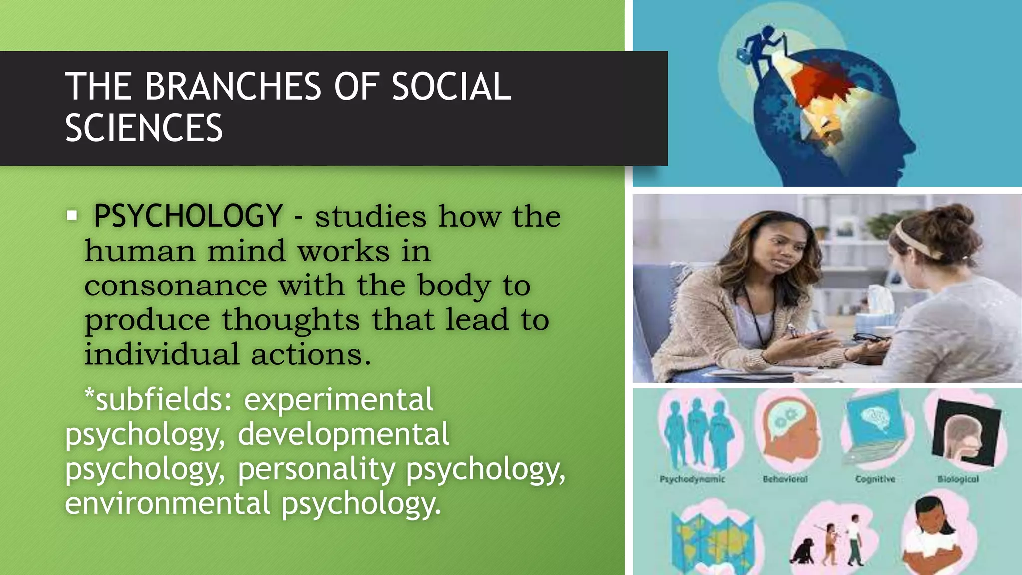 BRANCHES OF SOCIAL SCIENCE | PPTX
