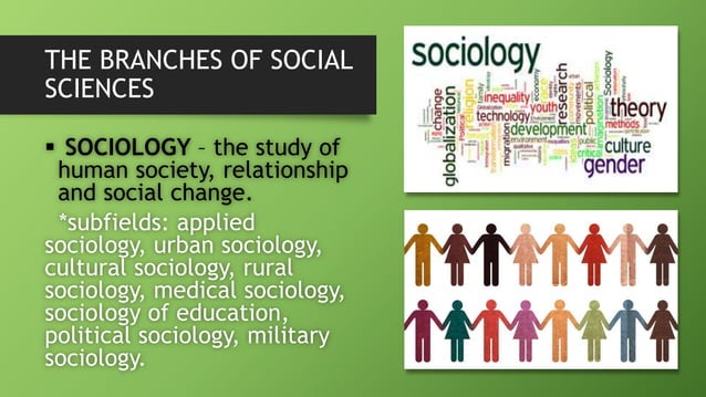 BRANCHES OF SOCIAL SCIENCE | PPTX