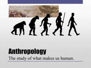 Disciplines in Social Sciences | PPTX