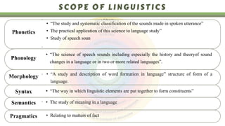 DISCIPLINES WITHIN THE SOCIAL SCIENCES -.pptx