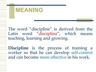 disciplne | PDF | Business | Business and Finance