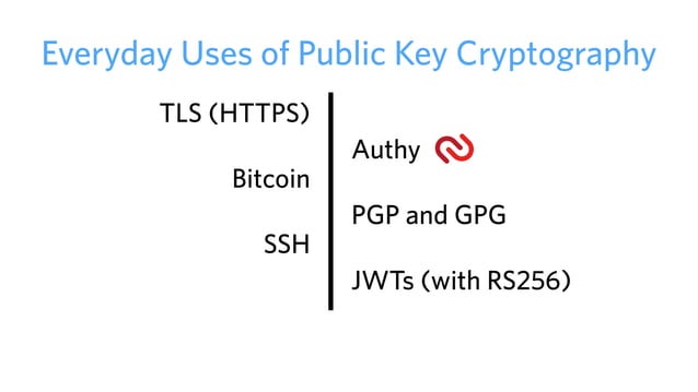 Introduction to Public Key Cryptography | PDF
