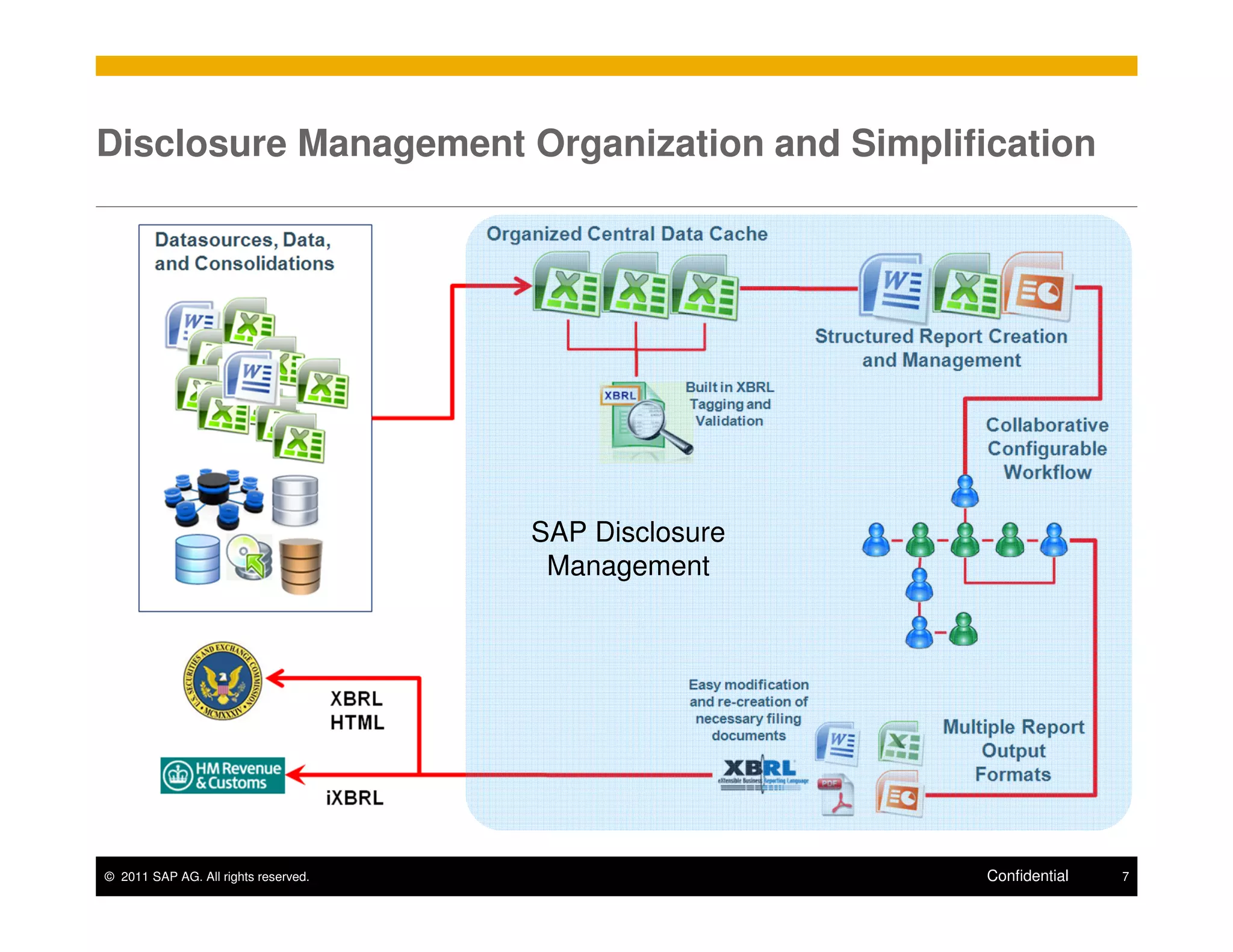 SAP Disclosure Management by Tony Wright | PDF