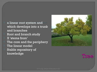 DisCo 2013: Fiachra Long - Digital Literacy and the Rhizomatic Learner ...