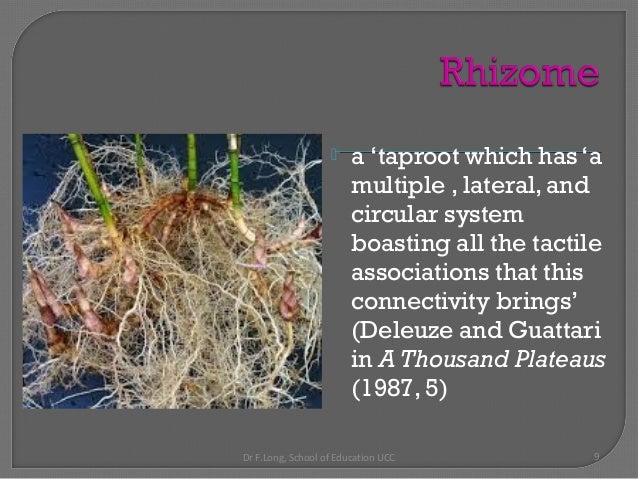 DisCo 2013: Fiachra Long - Digital Literacy and the Rhizomatic Learner