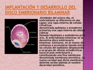 Disco germinativo bilaminar y trilaminar | PPTX