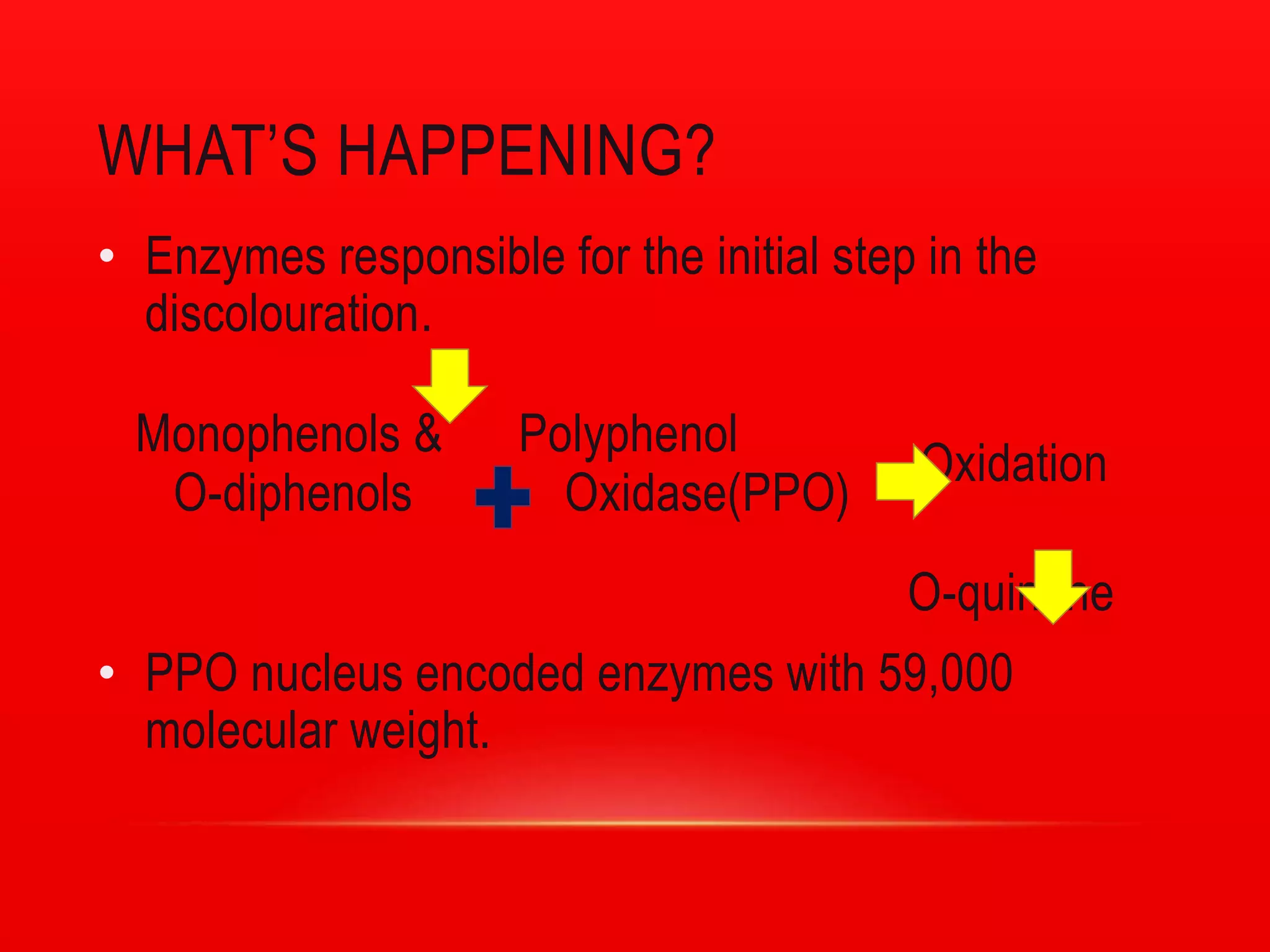 Discolouration modification by genetic engineering ppt for students | PPT
