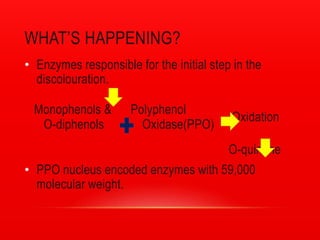 Discolouration modification by genetic engineering ppt for students | PPTX