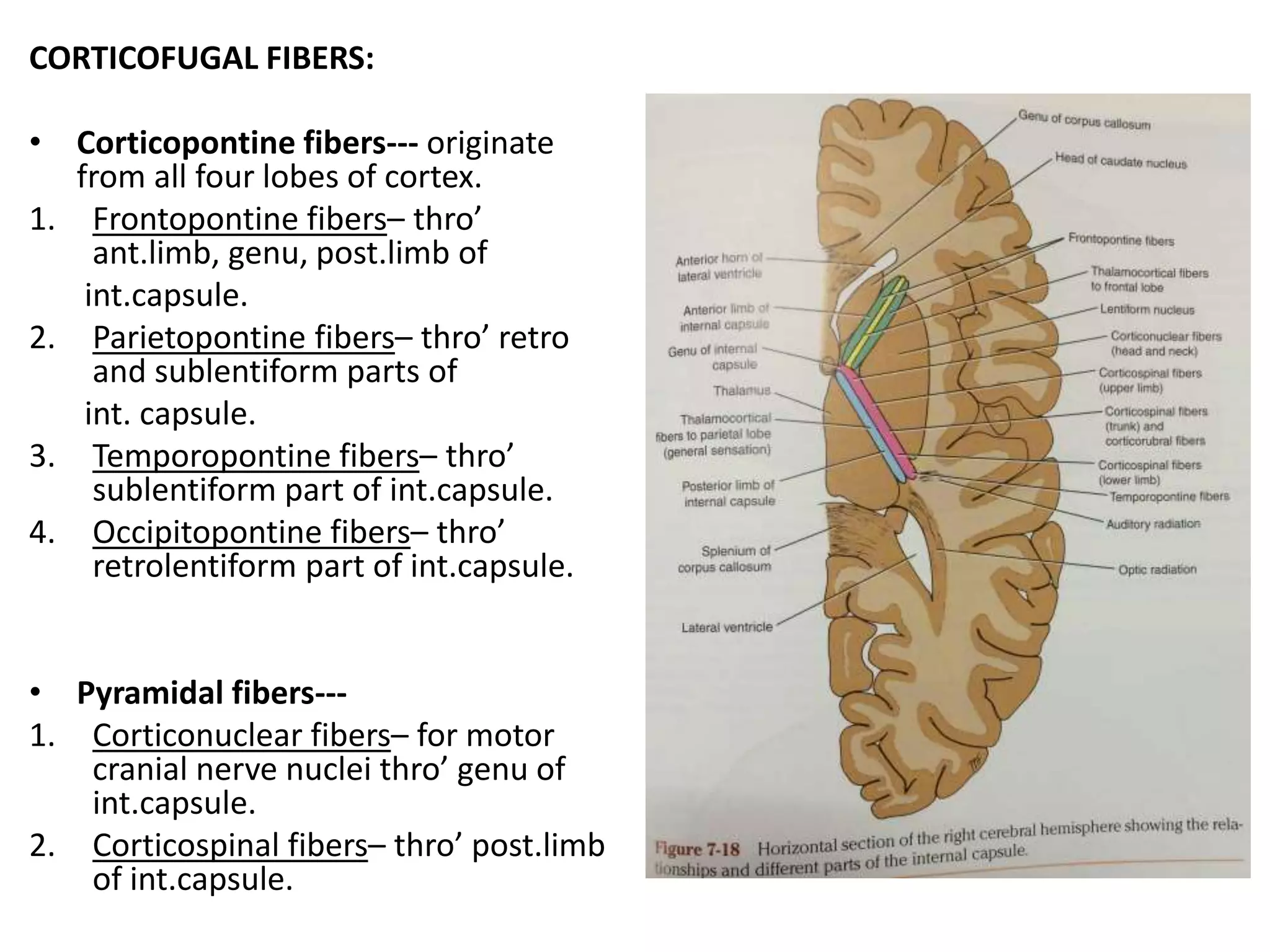 Disconnection syndromes sharath | PPTX