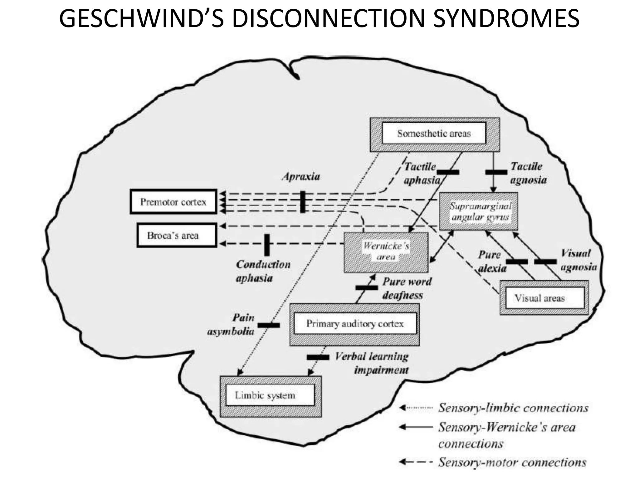 Disconnection syndromes sharath | PPTX