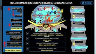DISCOPATÍA LUMBAR MEDICINA DEL TRABAJO Y AMBIENTAL | PPTX