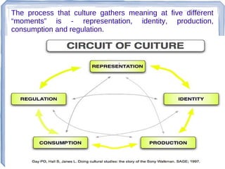 Circuit of Cultural Model by Hall | PDF