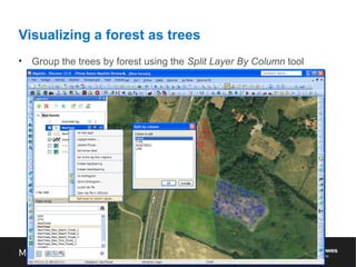 MapInfo Discover 3D: From 2D to 3D | PPT