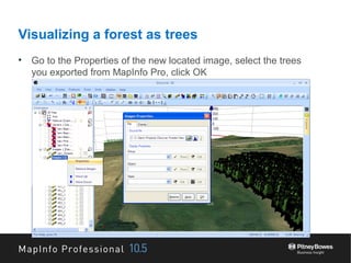 MapInfo Discover 3D: From 2D to 3D | PPT