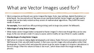 Discover – Difference Between Raster Image & Vector Image.pptx