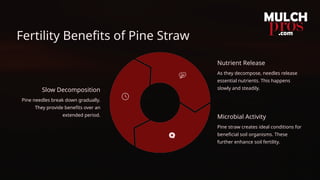 Discover How Pine Straw Boosts Soil Structure and Fertility. | PPTX