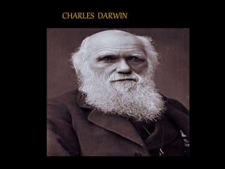 Discoveries of some scientists | PPT