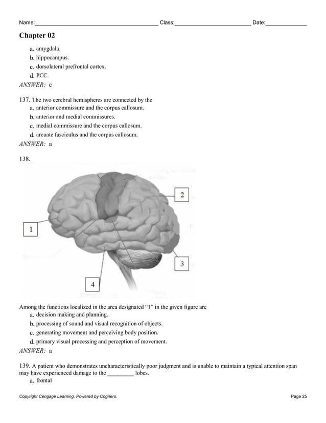 Discovering Behavioral Neuroscience An Introduction to Biological ...
