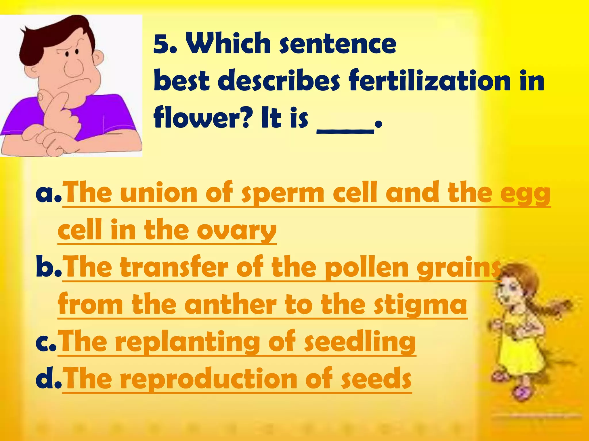 Discovering plant-quiz | PPT
