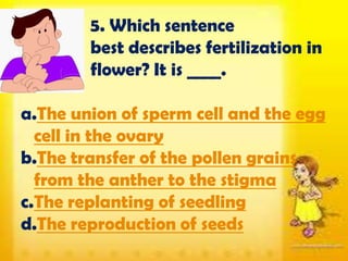 Discovering plant-quiz | PPTX