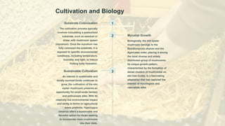 Discovering-the-Captivating-Elm-Oyster-Mushroom.pptx