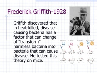 Discovering DNA Timeline | PPT