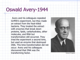 Discovering DNA Timeline | PPT