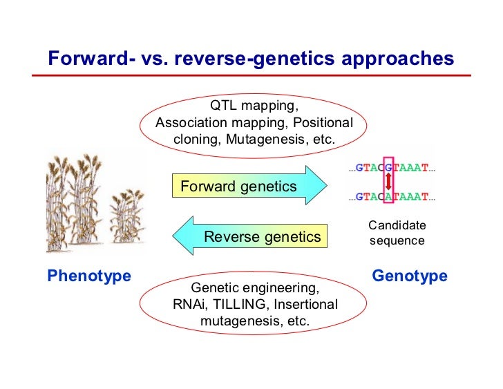 Discovering favourable gene resources for crop improvement