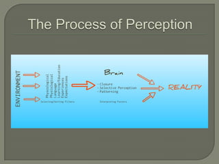 Discovering Our Realities & The Perception Process | PPT