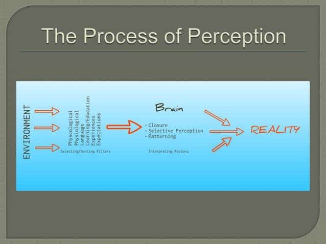 Discovering Our Realities & The Perception Process | PPT