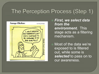 Discovering Our Realities & The Perception Process | PPT