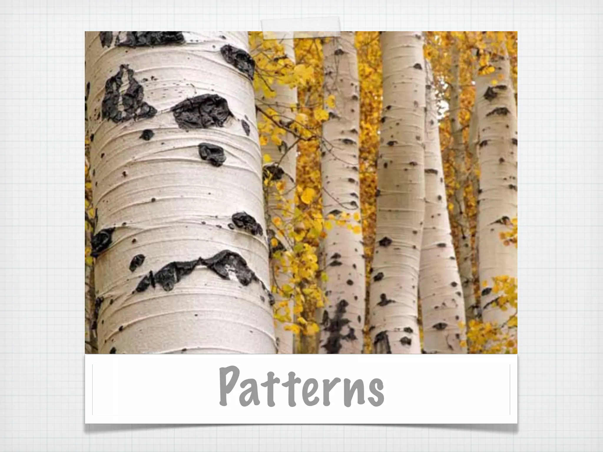 Discovering patterns | PPT