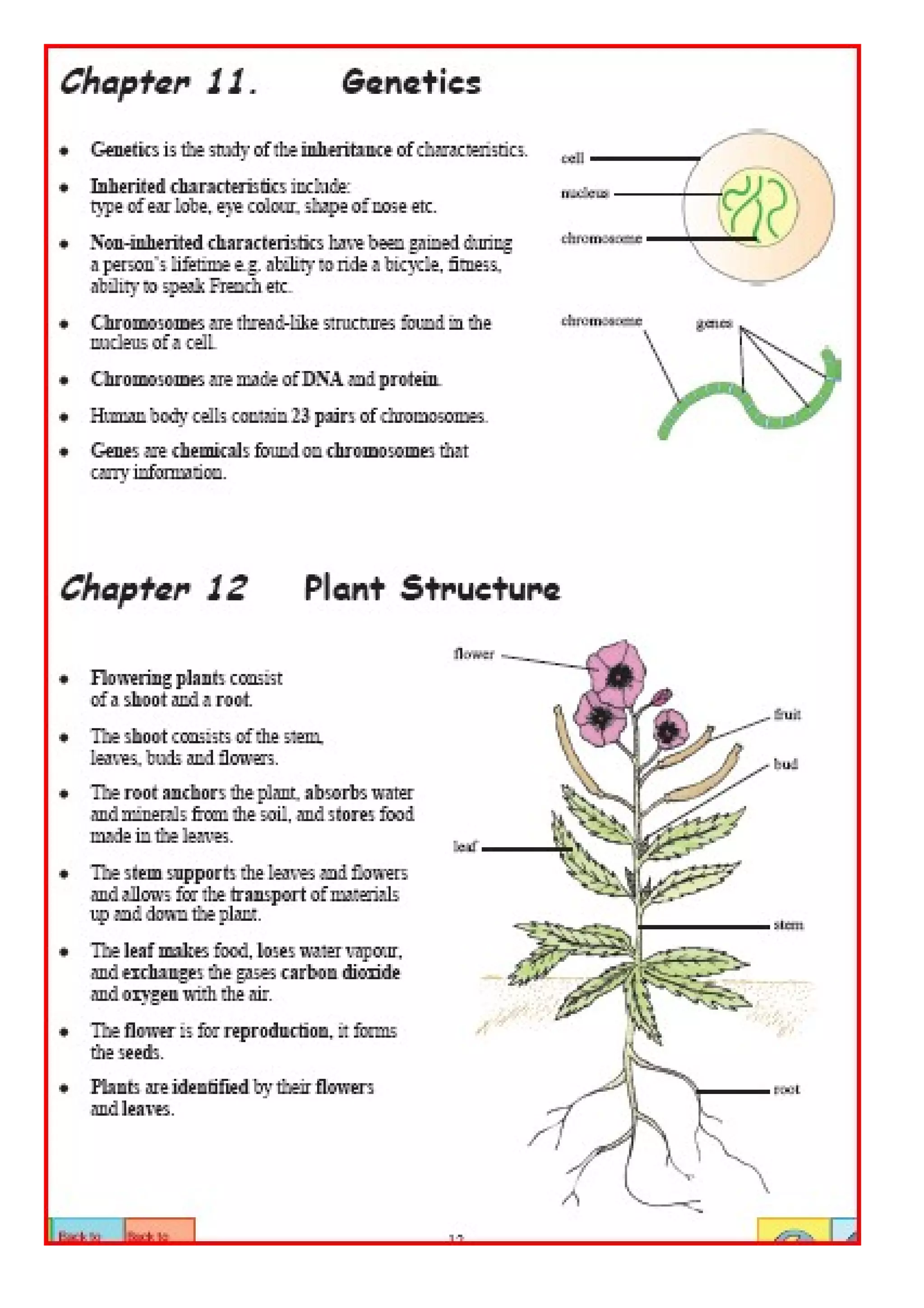 Discovering Science Revision For Jc Biology | DOC | Biological Sciences ...