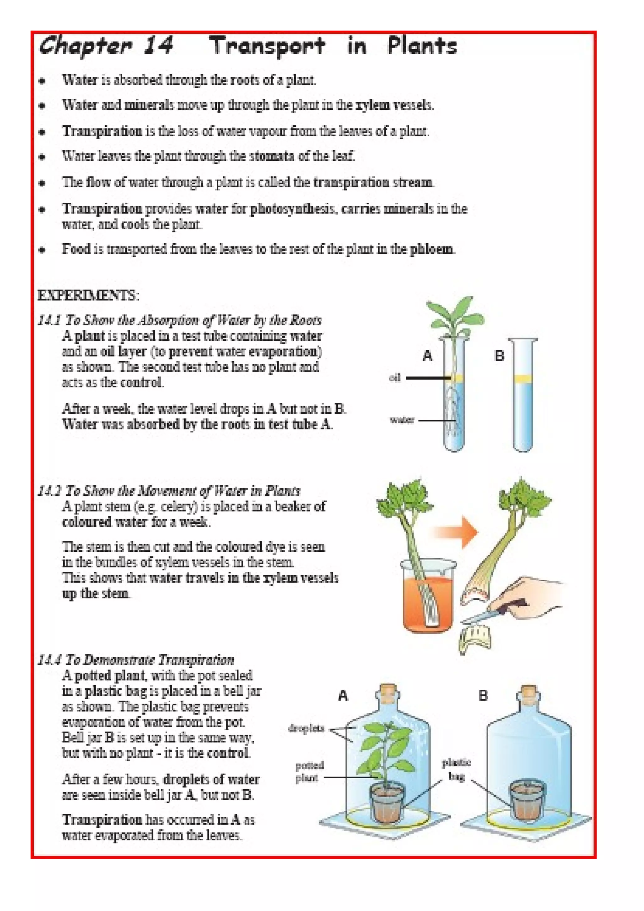 Discovering Science Revision For Jc Biology | DOC | Biological Sciences ...