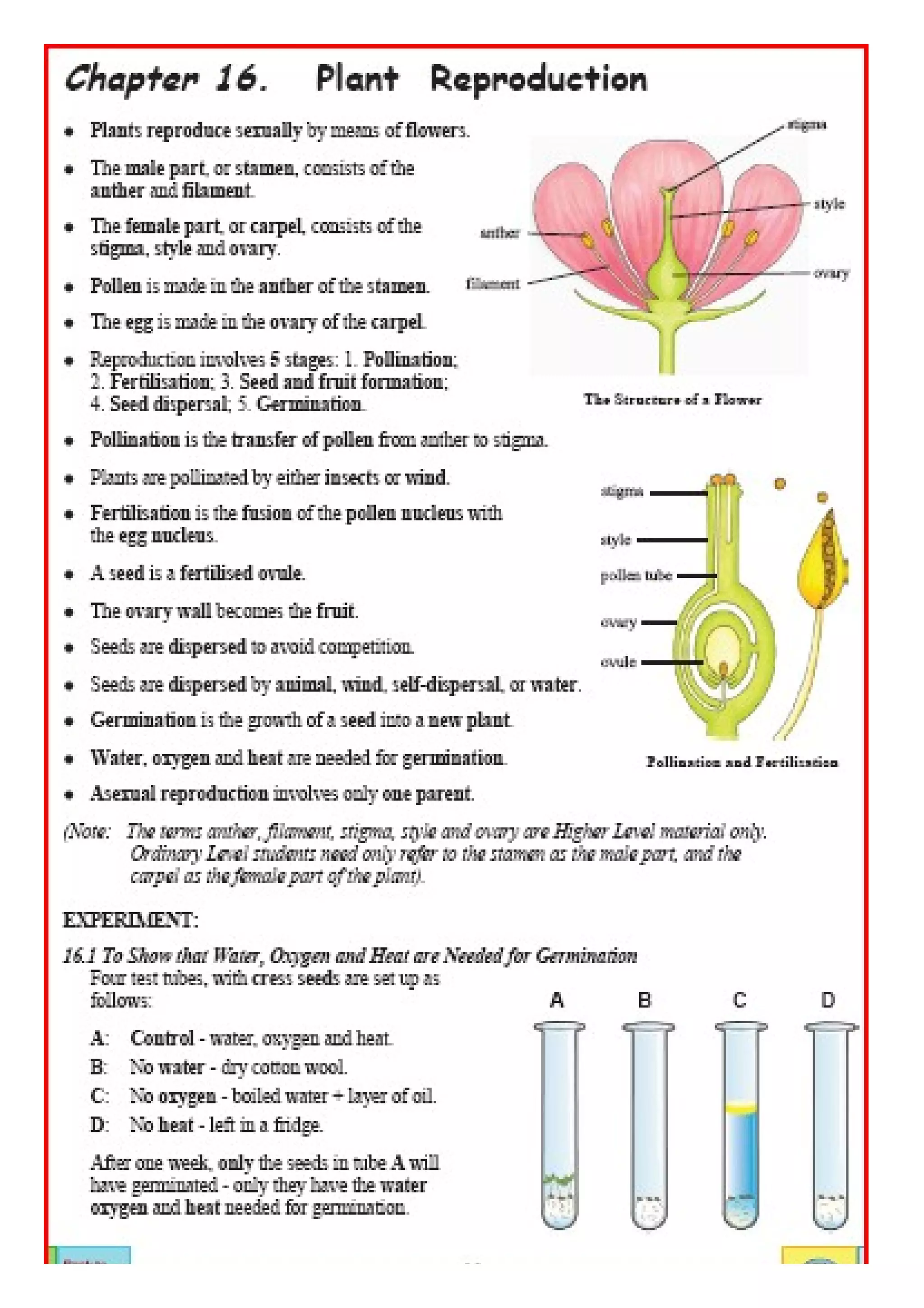 Discovering Science Revision For Jc Biology | DOC | Biological Sciences ...