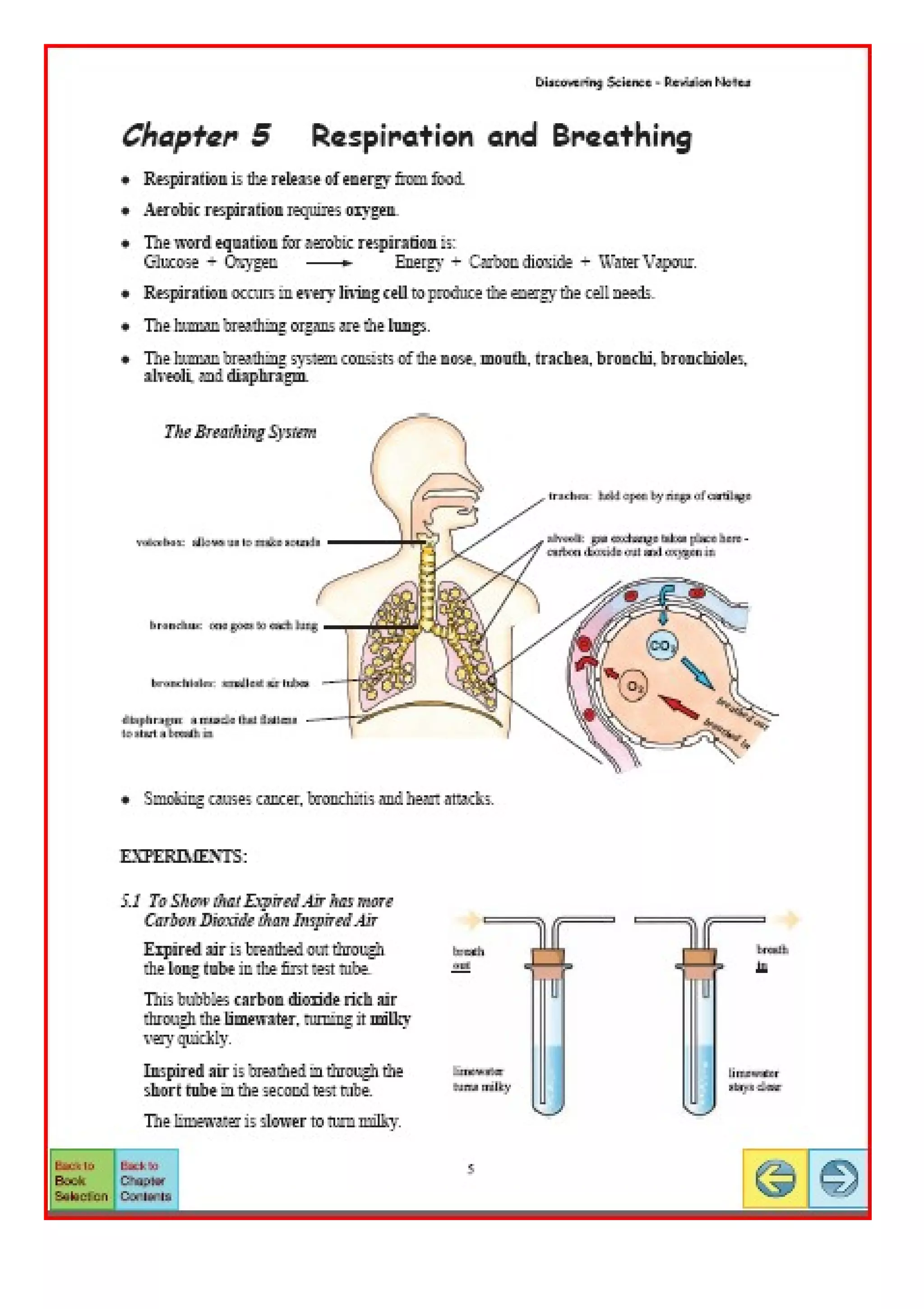 Discovering Science Revision For Jc Biology | DOC | Biological Sciences ...